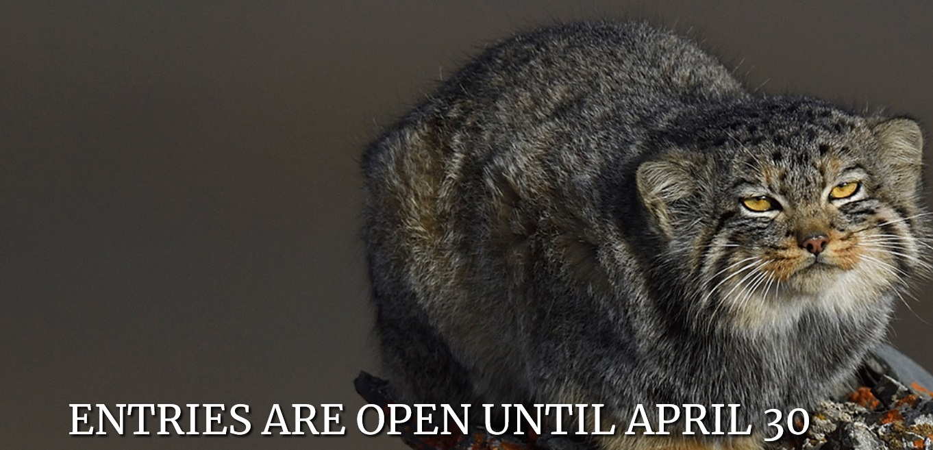 Nature Photography MontPhoto – until 30 April 2019 | Photo Contest ...