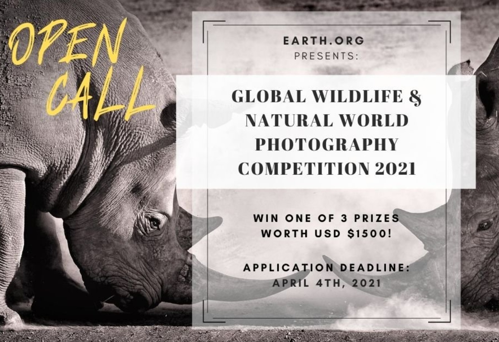 Earth.Org Global Wildlife & Natural World Photography Competition 2021 ...