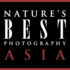 Nature’s Best Photography Asia Awards until 20 June 2021 | Photo ...