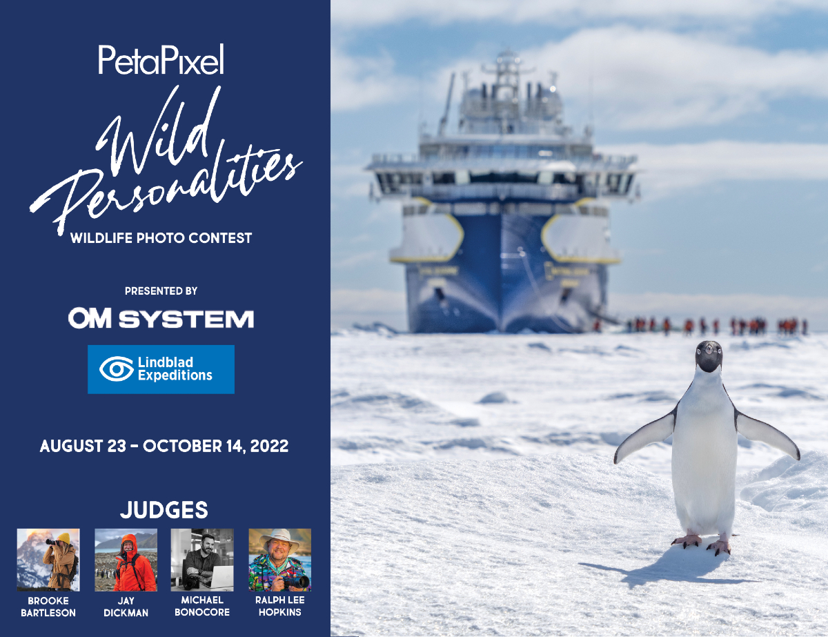 PetaPixel’s Wildlife Photo Contest Wild Personalities | Photo Contest ...