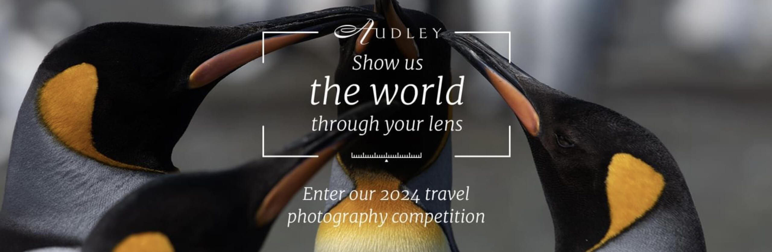 The world through your lens | Photo Contest Calendar 2026