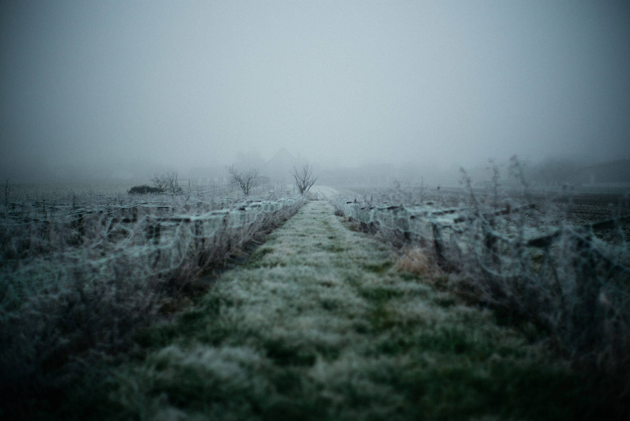 cold-a-winter-photography-exhibition | Photo Contest Calendar 2026