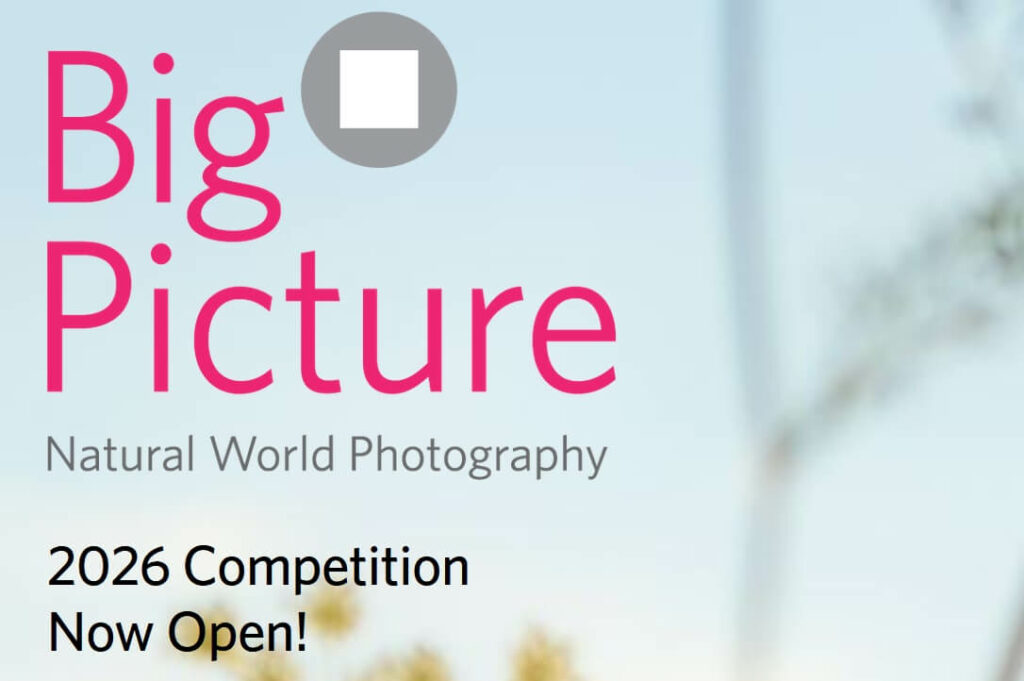 Big Picture ends 1 March 2026 | Photo Contest Calendar 2026